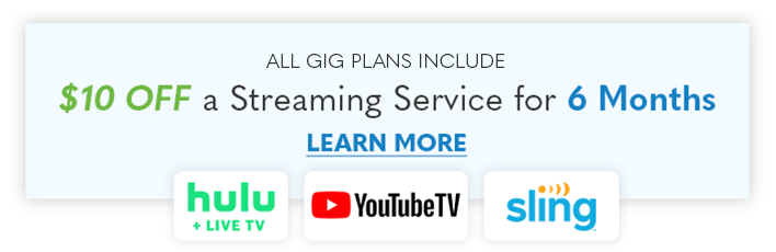 High Speed Internet Plans in South Carolina | Home Telecom